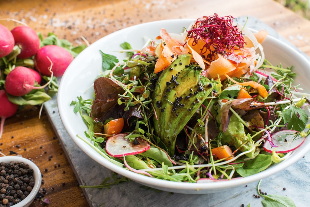 Wild Beets – Ibiza’s Number One Vegan destination opens it’s doors for ...